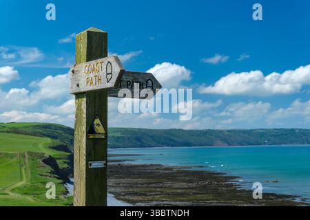 Abbotsham Cliffs, North Devon - südwestlicher Küstenpfad Spaziergang zu ...