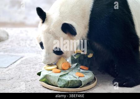 Tiere genießen Essen für das Dragon Boat Festival in einem Zoo in der ...