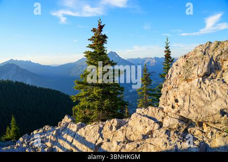 Blick nach Westen vom Gipfel des Sulphur Mountain im Banff National ...