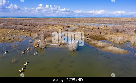 1. April 2021, Bayingolin, Xinjiang, China: Die Schönheit des bosten ...
