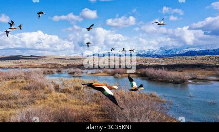 1. April 2021, Bayingolin, Xinjiang, China: Die Schönheit des bosten ...