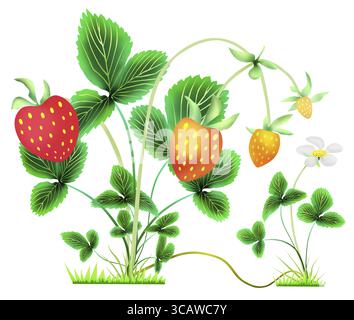 Erdbeeren Bluhen Aber Keine Fruchte