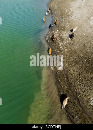 Blick aus der Vogelperspektive auf das Algeti Reservoir, dessen Wasser ...