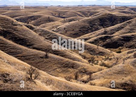 Blick vom Gaub Pass (Kuiseb Canyon) auf der C14 Road im Namib-Naukluft ...
