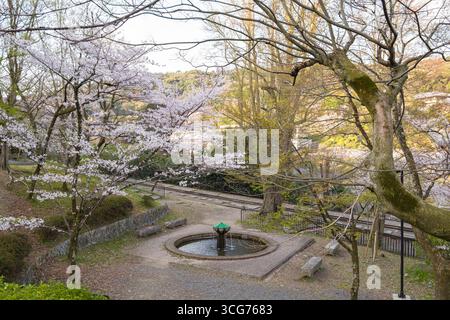 Blühende japanische Kirschbäume Keage Sosui Park, Sakyo, Kyoto, Kansai ...