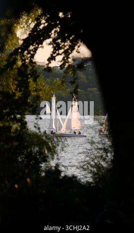 Hamburg, Deutschland. September 2025. Marko Dini·, Autor, während der ...