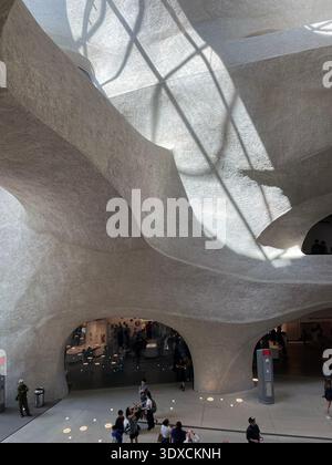American Museum of Natural History Insectarium New York City // NEW ...