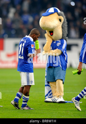 Erwin das Maskottchen von Schalke, nach dem Spiel frustriert Stockfoto ...