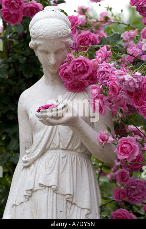 Rose (Rosa spec.), Rose Gartenstatue Bacchus in Rosen, Deutschland ...