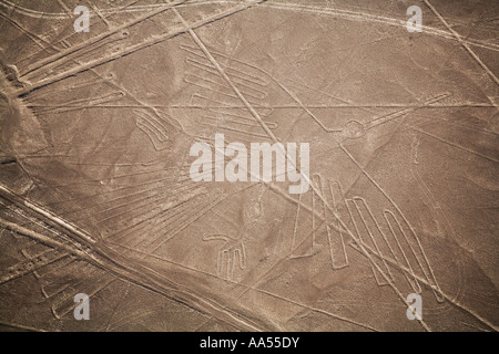 Die Condor geoglyph Abbildung in der peruanischen Küstenwüste, wie die ...