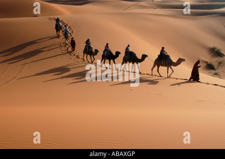 Kamele Wohnwagen in der Wüste Sahara in Tunesien, Afrika. Touristen ...