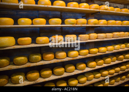 Das Käse-Museum in Amsterdam, Niederlande Stockfoto, Bild: 101691637 ...