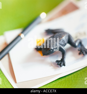 Frosch mit einem Stift Stockfoto, Bild: 122819054 - Alamy