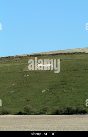 Everleigh, Wiltshire, Großbritannien, England, N 51 16' 53'', W 1 42 ...