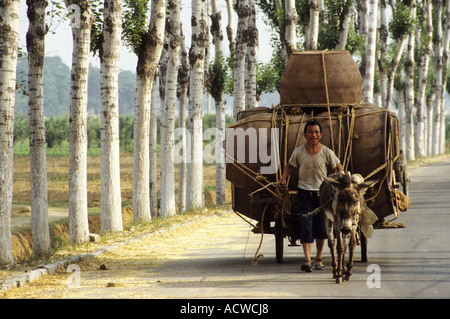 Landwirt mit Esel tragen schwere Last in Aksum oder Axum Äthiopien ...