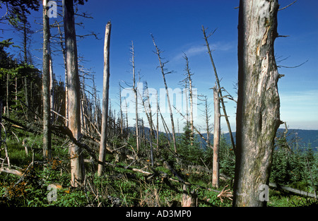 SAURER REGEN SCHADEN Stockfoto, Bild: 22399585 - Alamy