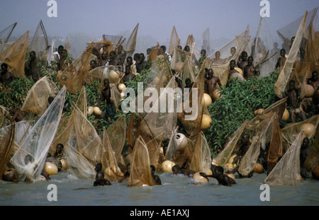 NIGERIA Westafrika nördlich Argungu Massen der Zuschauer und ...