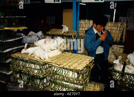 China Guangzhou wild Tiermarkt Quin Ping Stockfoto, Bild: 4878522 - Alamy