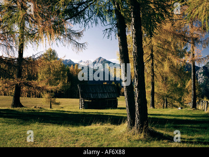 Österreich, Tirol, Mieminger Plateau, Herbst in Obsteig Stockfoto, Bild ...