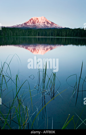 Abendlicht am Mt Adams und Tumbling Adams Gletscher aus Adams Wiesen ...