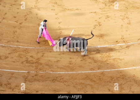 Stierkampf (Corrida de Toros), Stierkampfarena Las Ventas, Madrid ...