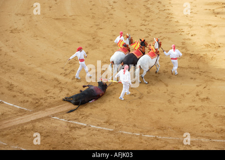 Torero, Matador mit Stier, Plaza de Toros De La Maestranza ...