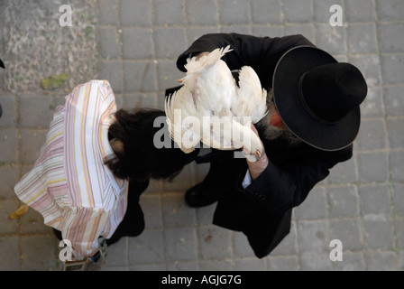 Ultra-orthodoxe Juden schwingen ein Huhn über den Kopf der Frau als ...