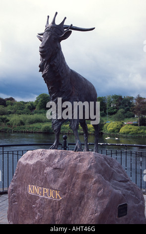 King Puck Statue Killorglin County Kerry Irland Stockfoto, Bild ...