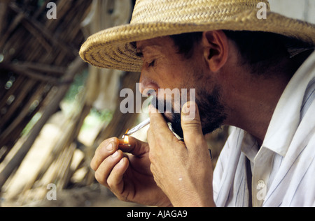 CANNABIS-LANDWIRT RAUCHEN EINES JOINTS IN EINER HEIMLICHEN MARIHUANA ...