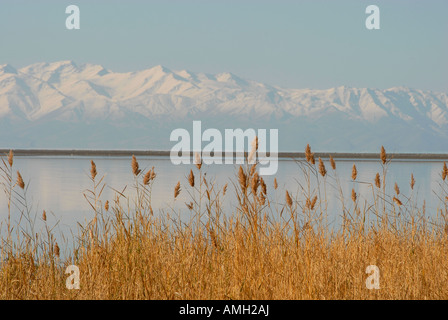 Van See und Vulkan Süphan Dagi im Hintergrund, Türkei, Van, Vansee ...
