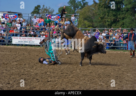 Cowboy Reiten einen munter Stier bei einem Rodeo in Montana Stockfoto ...