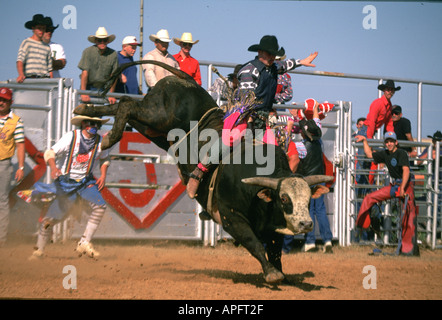 Cowboy Reiten einen munter Stier bei einem Rodeo in Montana Stockfoto ...
