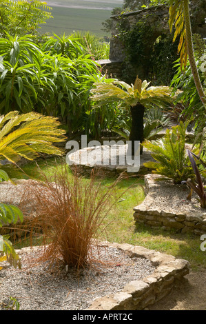 Yewbarrow House Garten mit exotischen Pflanzen von Schritten durch den ...