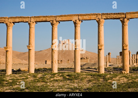 Spalten antike Syrien Denkmal Kultur Wüstenlandschaft Spalten antike ...