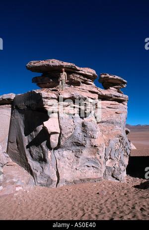 Das valle de las rocas (Felsental) in der Wüste Siloli, Sur Lípez ...