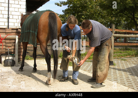 Schmied 6 Pferd immer neue Hufeisen Stockfoto, Bild: 5518679 - Alamy