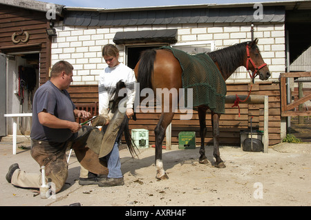 Schmied 6 Pferd immer neue Hufeisen Stockfoto, Bild: 5518679 - Alamy