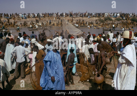 NIGERIA Westafrika nördlich Argungu Massen der Zuschauer und ...