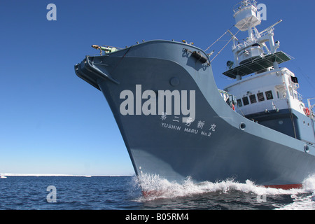 Das "Yushin Maru No 2" Wal Catcher Schiff, der die japanische ...