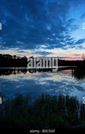 Stephen C. Foster State Park, Okefenokee Swamp Park, Georgia, USA ...