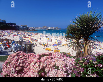 Palmen mit Blick auf Porthminster Beach, St. Ives, Cornwall ...