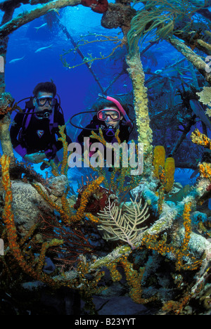Zwei Taucher auf einem versunkenen LKW aus dem 2. Weltkrieg in der Enns ...