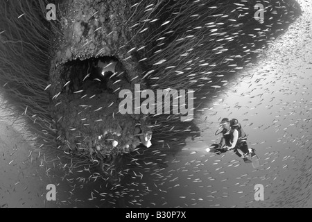 Taucher am Anker Hawse Loch am Bug der USS Saratoga Marshallinseln ...