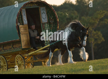 Zigeuner-Wohnwagen oder Wohn-Wagen von Gypsy Vanner Pferd gezogen ...