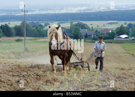 Polen Psary Dorf, Bodenbearbeitung Plackerei Mühe mit Pferd Pflug ...