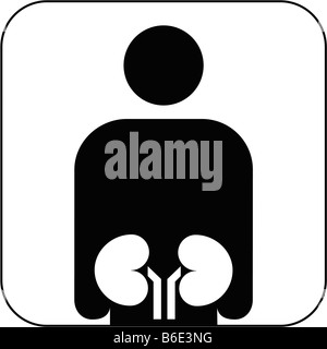 Urologie-Symbol vor weißem Hintergrund Stockfotografie - Alamy