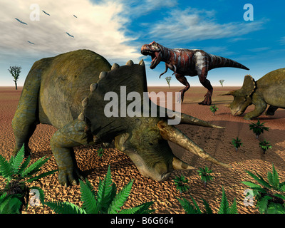 Ein Tyrannosaurus Rex oder T-Rex und Triceratops Dinosaurier Kampf ...