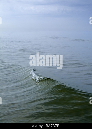 Meer Welle ruhig Horizont Wasser Bewegung Wellen Wasseroberfläche ...
