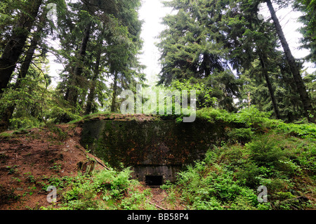 Bunker in der Hurtgenwald - Hurtgen Wald, Huertgenwald, Hürtgenwald ...