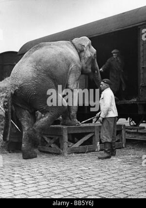 Transport/Transport, Eisenbahn, Waggons, Güterwaggons, schnabelwagen ...